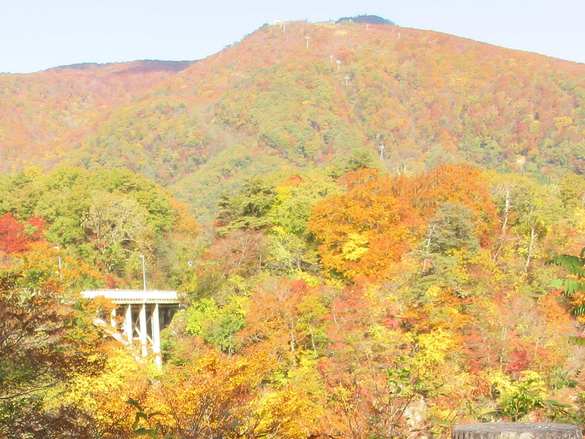 IMG_9306 (2)｜社会福祉法人 豊心会